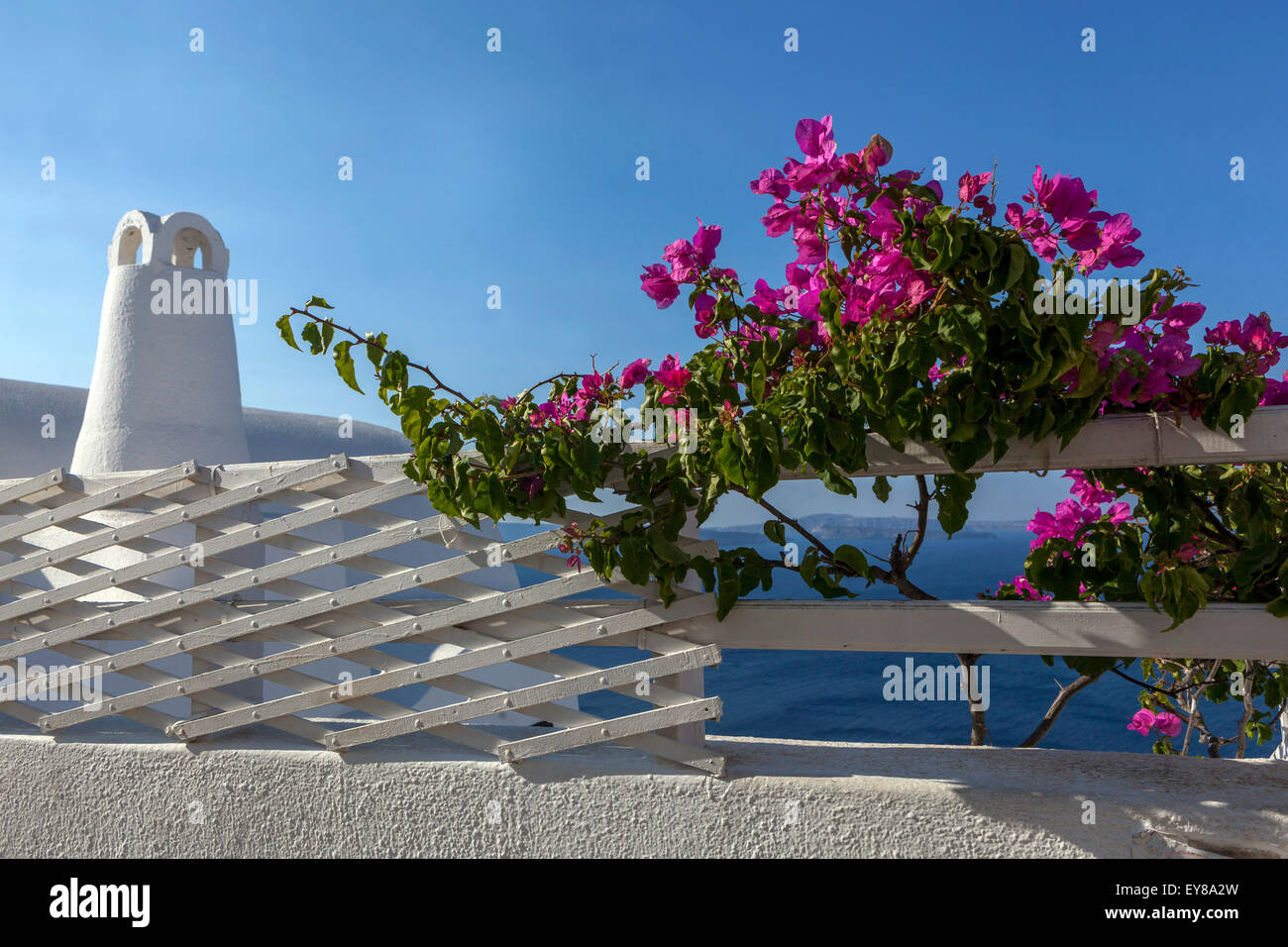 Pink bougainvillea flowers santorini greece hi-res stock photography ...