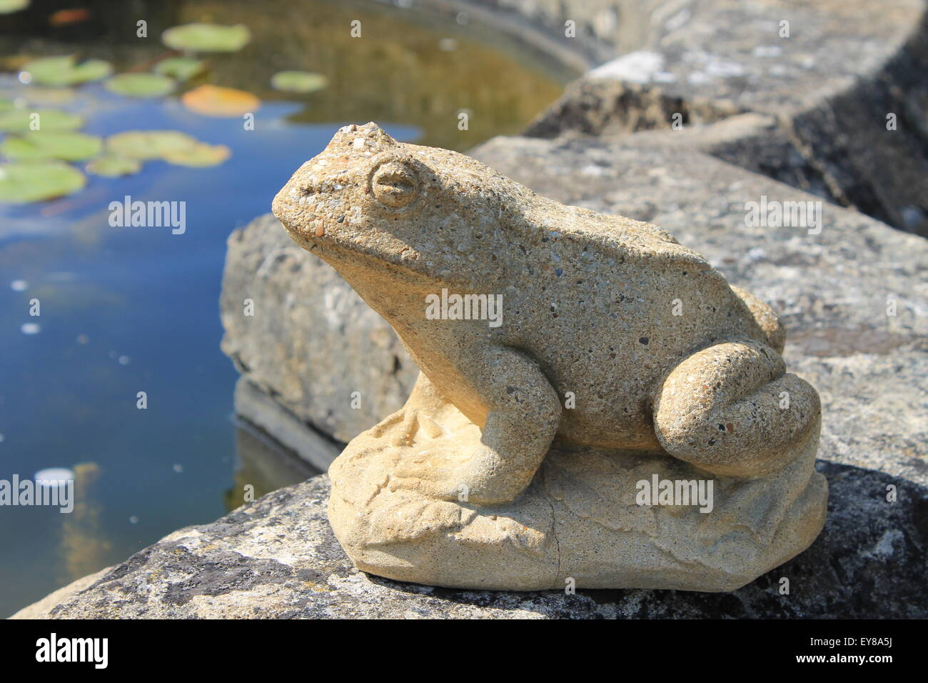 Frog carving hi-res stock photography and images - Alamy