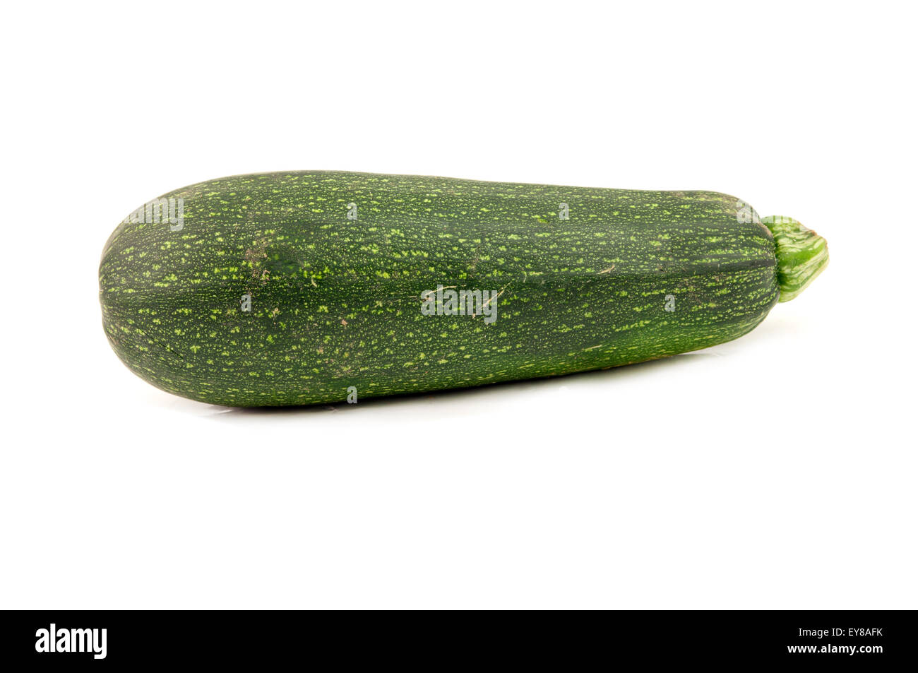 Fresh marrow vegetable. Isolated on white background Stock Photo - Alamy