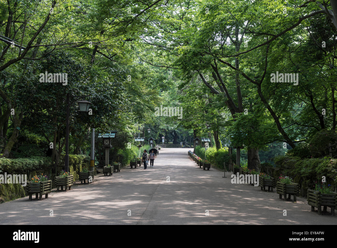 Kojo Park, Takaoka, Japan Stock Photo - Alamy