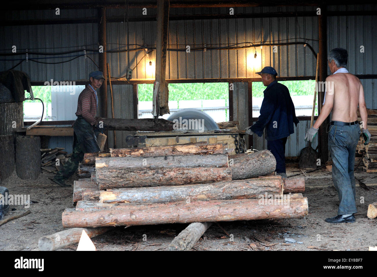 Hegang, China's Heilongjiang Province. 24th July, 2015. Rescuers cut ...