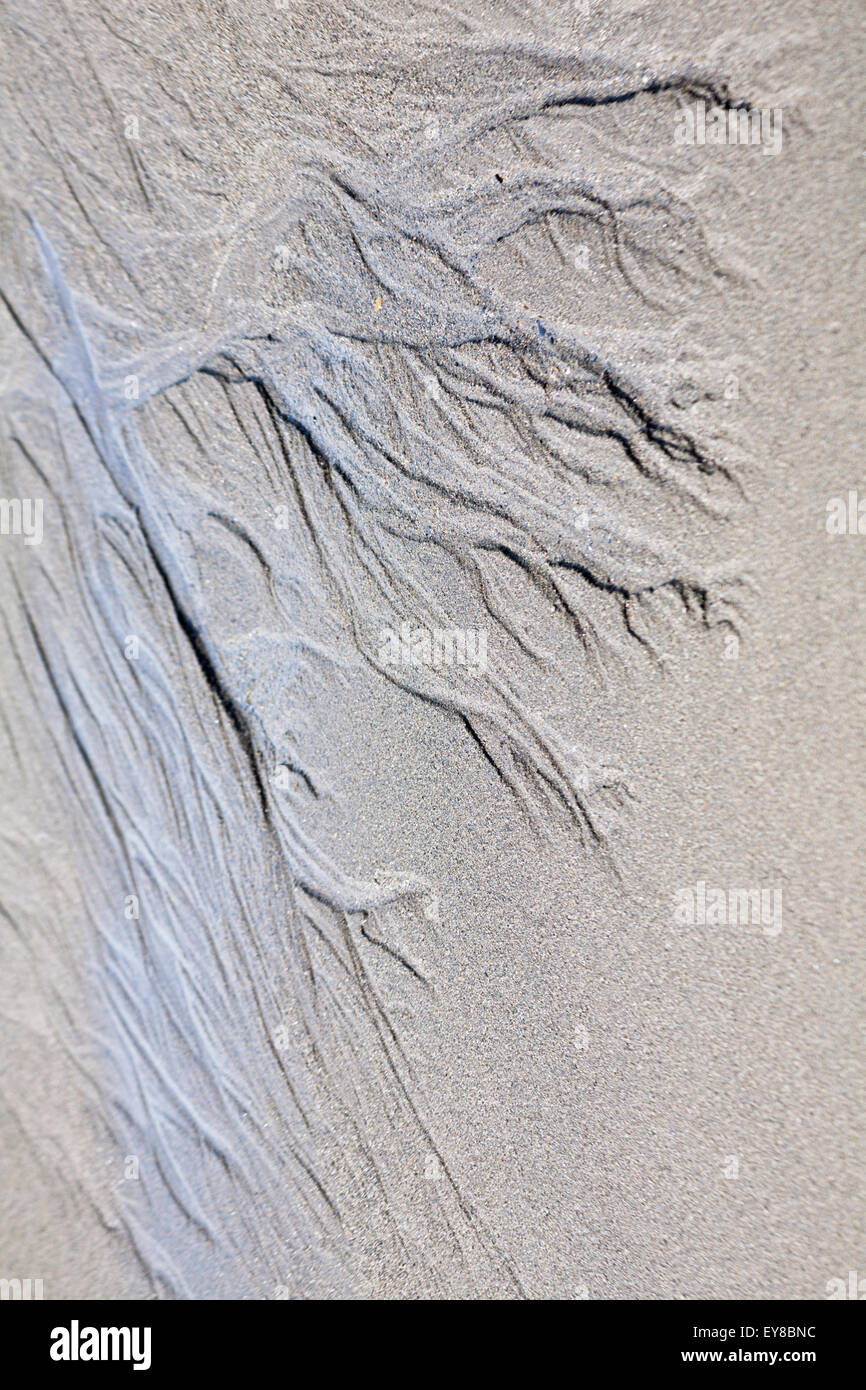 sand patterns abstract patterns in nature - looks like tree roots Stock ...