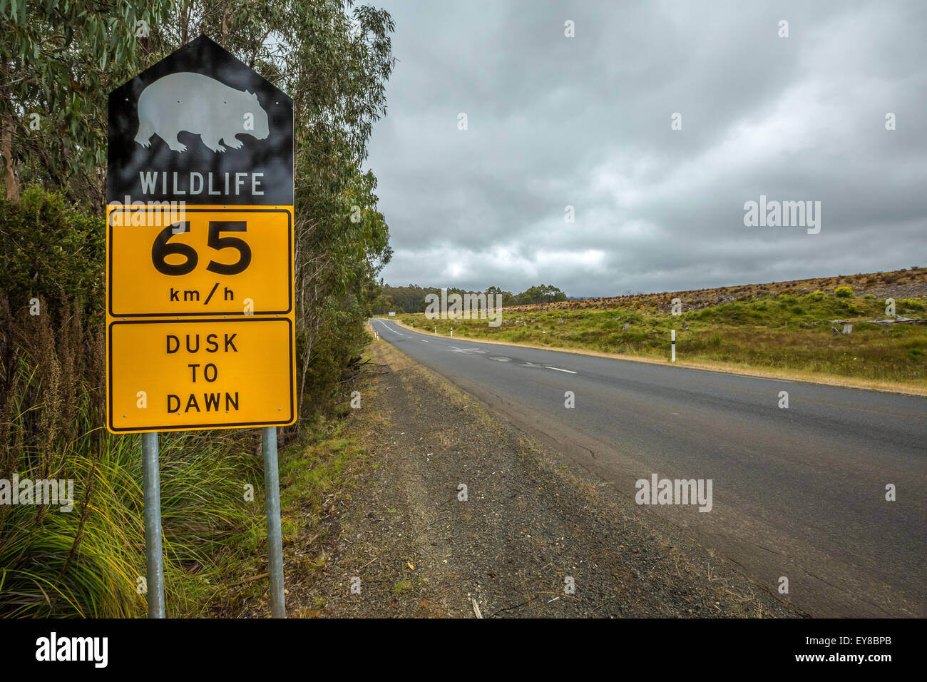Australian highway wombat sign hi-res stock photography and images - Alamy
