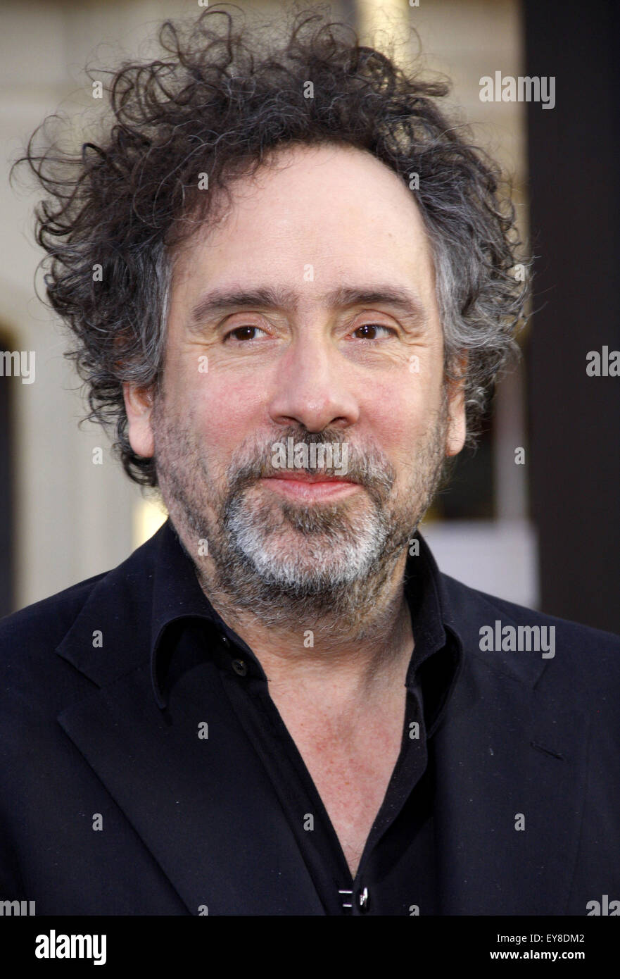 Tim Burton at the Los Angeles premiere of 'Dark Shadows' held at the ...