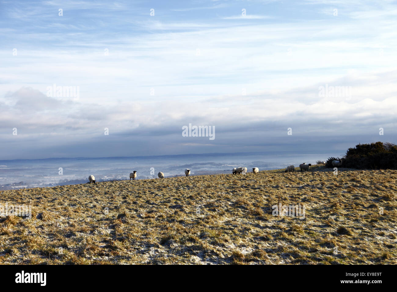 Ditchling hi-res stock photography and images - Alamy