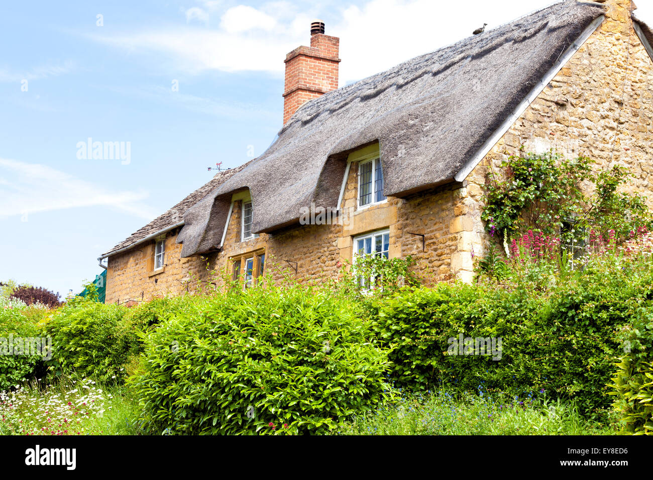 Traditional old Cotswold stone cottage with thatched roof and front ...