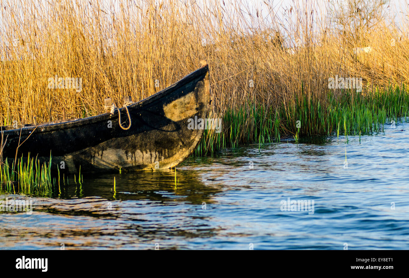 Reed Fishing Boat High Resolution Stock Photography and Images - Alamy