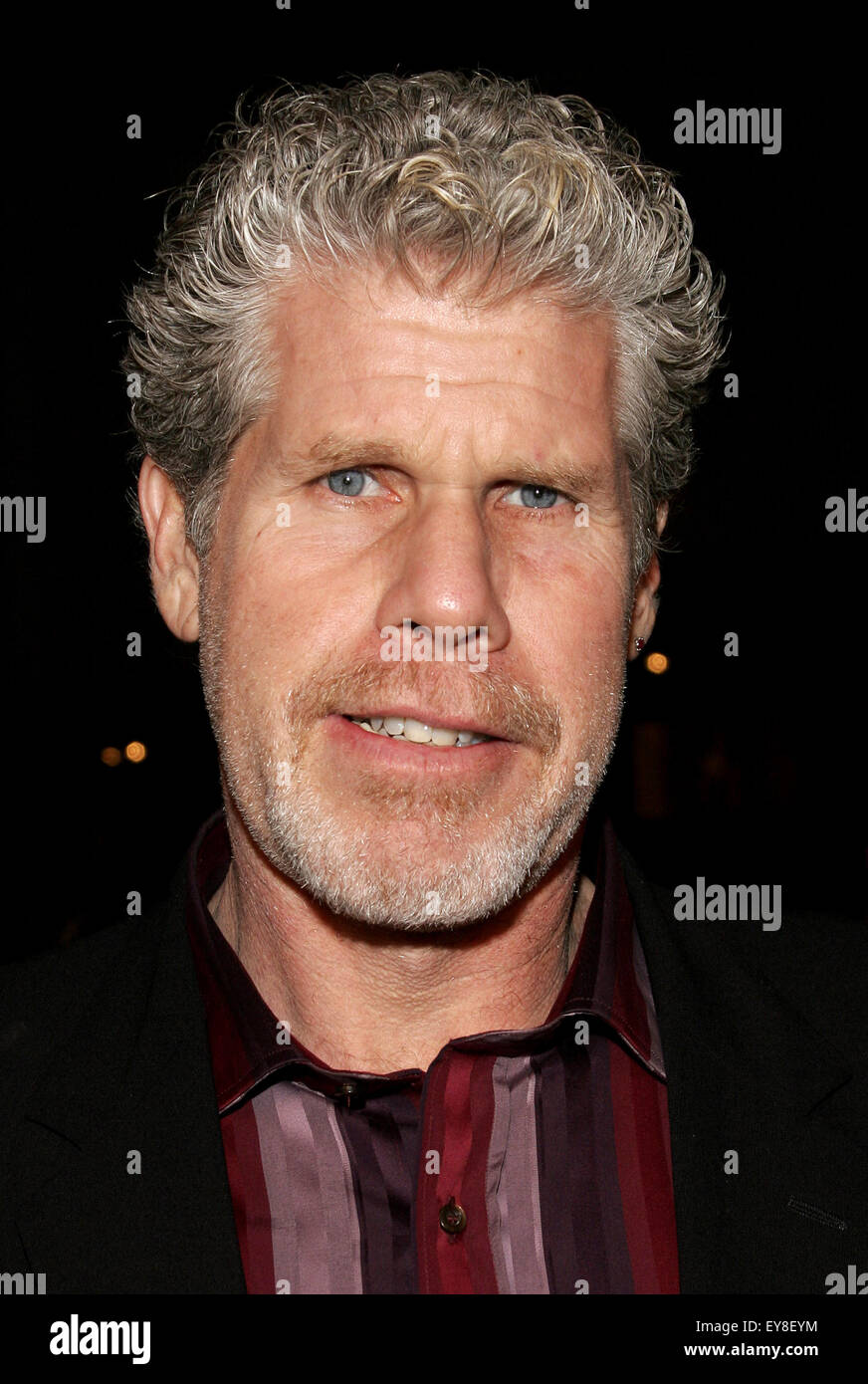 Bloodrayne premiere hi-res stock photography and images - Alamy