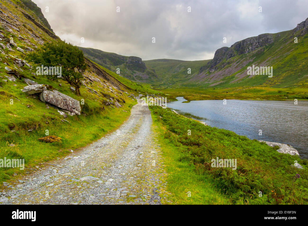 Beautiful valley on Dingle Peninsula with country road, lake and ...
