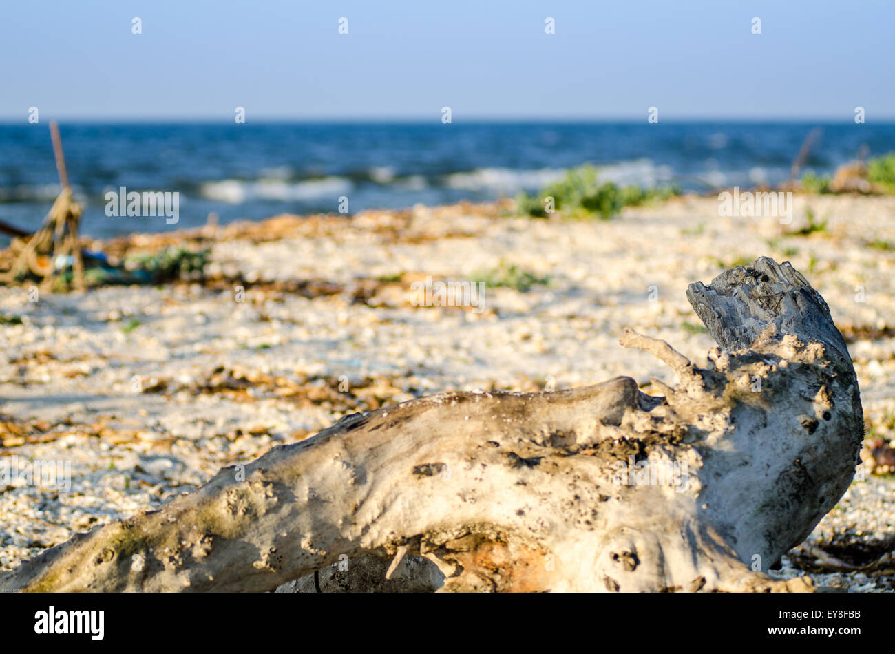 Fishing boats rest on the shore at a serene coastal location under ...