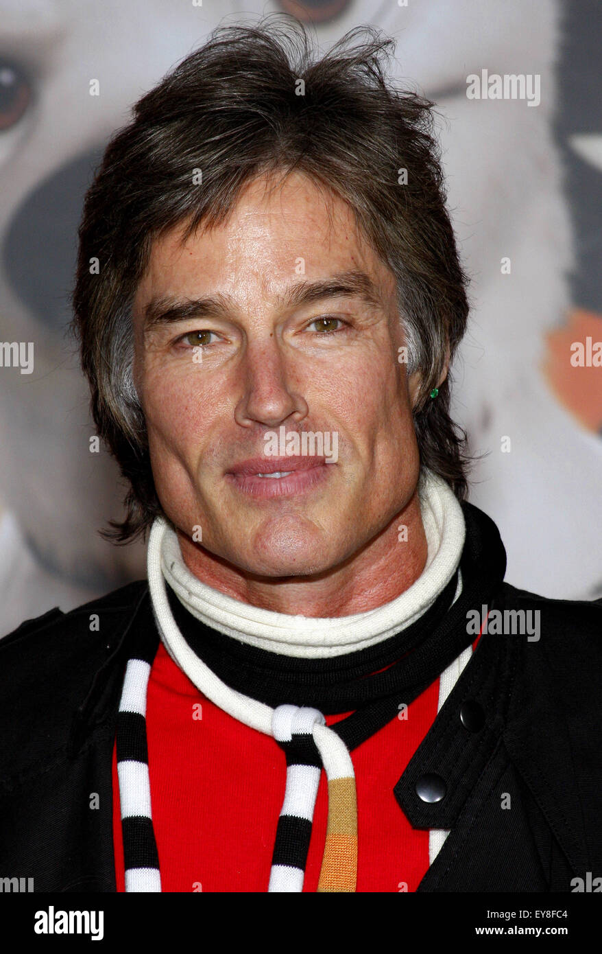 Ron Moss at the Los Angeles premiere of 'Bolt' held at the El Capitan ...