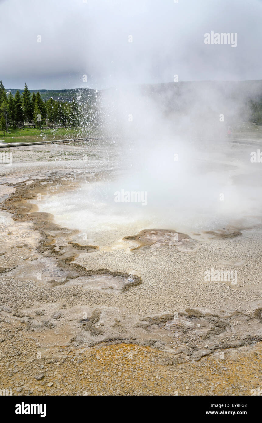 landscape and Geyser in Yellowstone National Park Stock Photo - Alamy