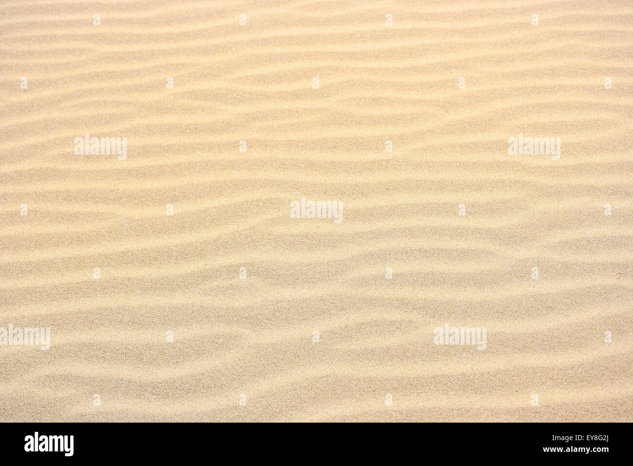 small sand dunes texture in a sunny day in the desert Stock Photo - Alamy