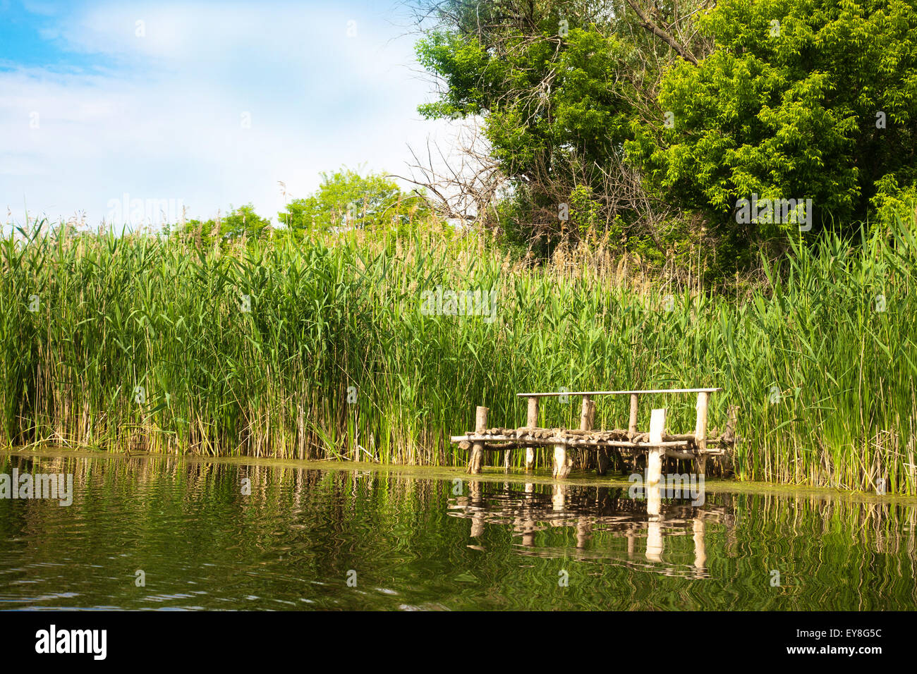 River landscape with the wood bridge in a summer sunny day Stock Photo ...