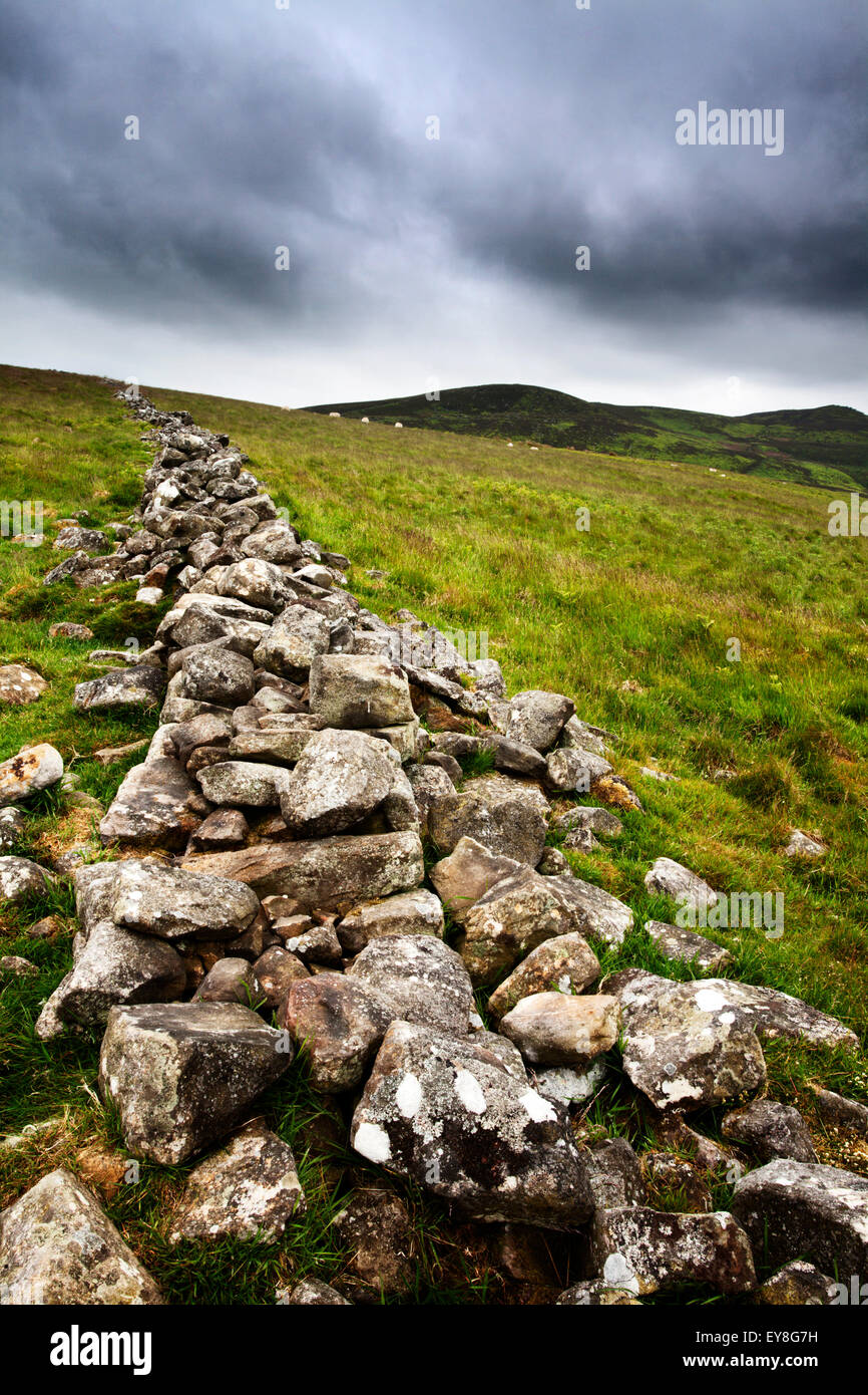 Old Stone Wall below The Beacon in the Simonside Hills near Rothbury ...