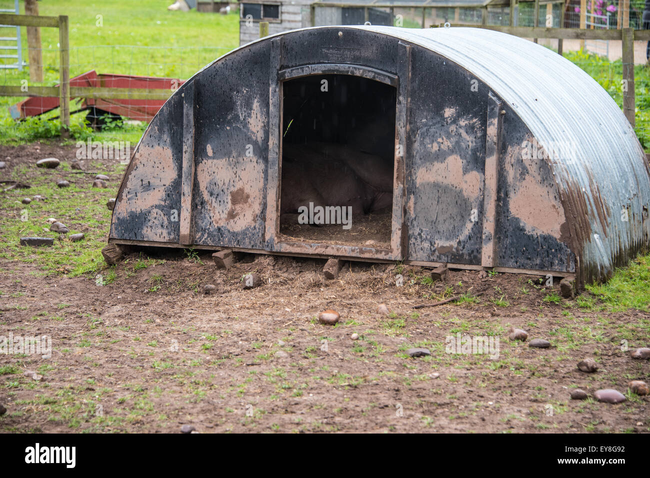 Pig Sty, Northicote farm Bushbury wolverhampton Stock Photo - Alamy