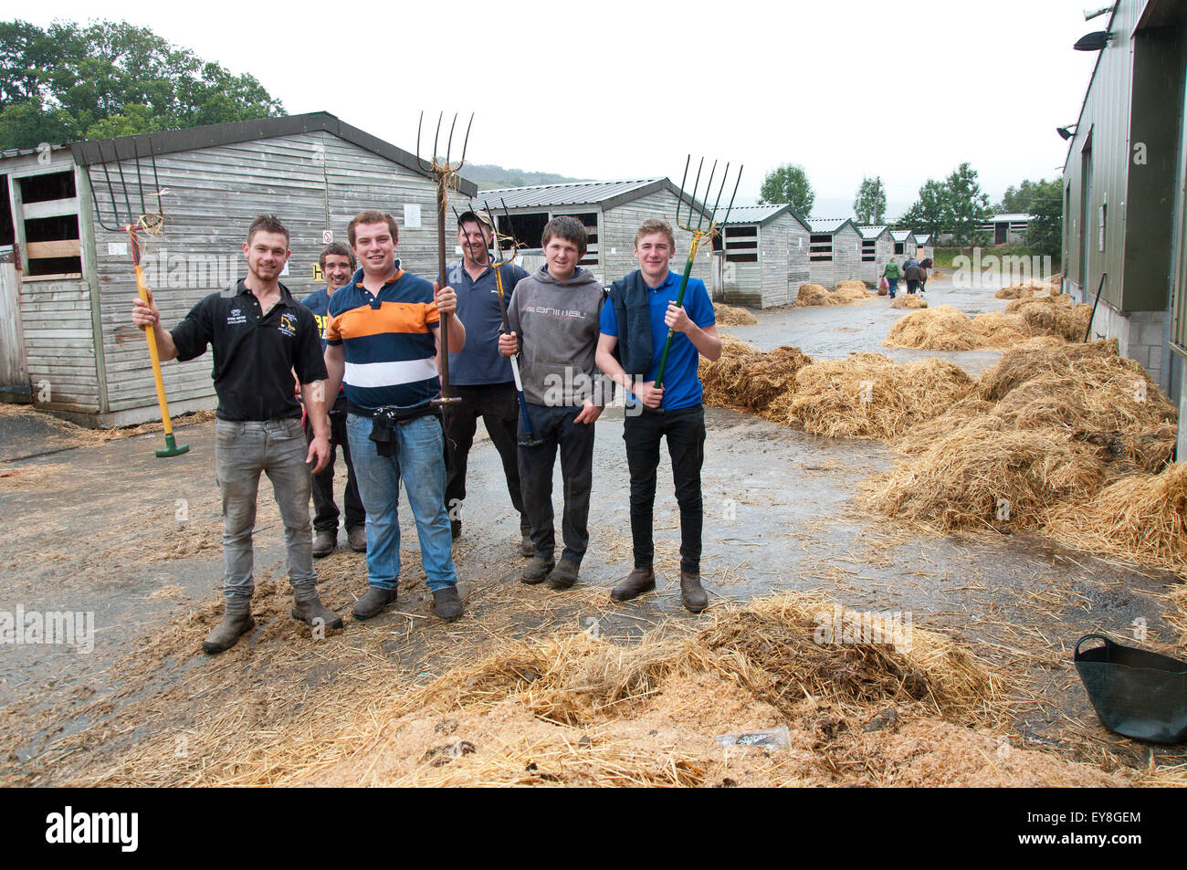 Mucking out stable hi-res stock photography and images - Alamy