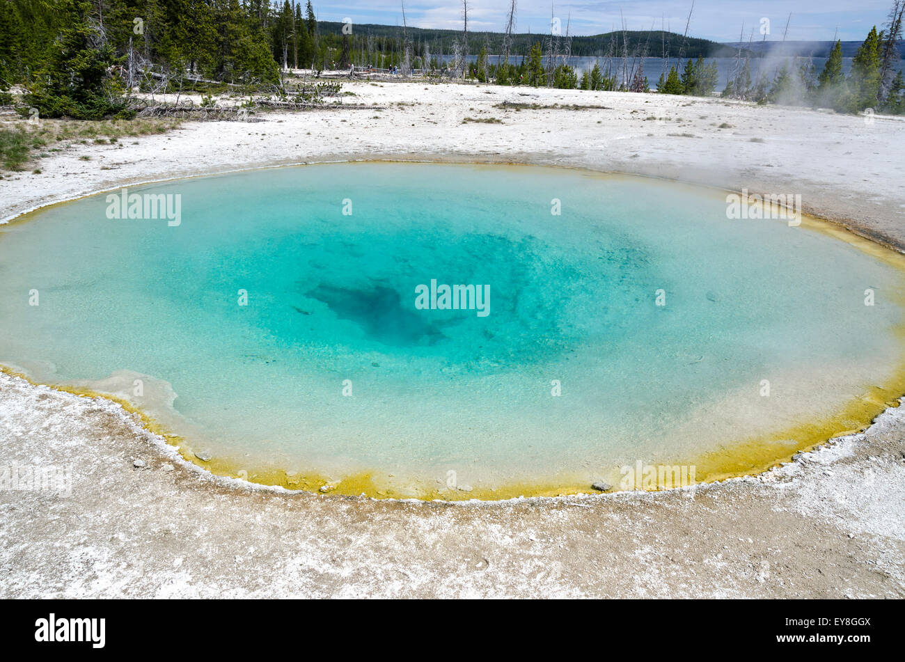 landscape and Geyser in Yellowstone National Park Stock Photo - Alamy