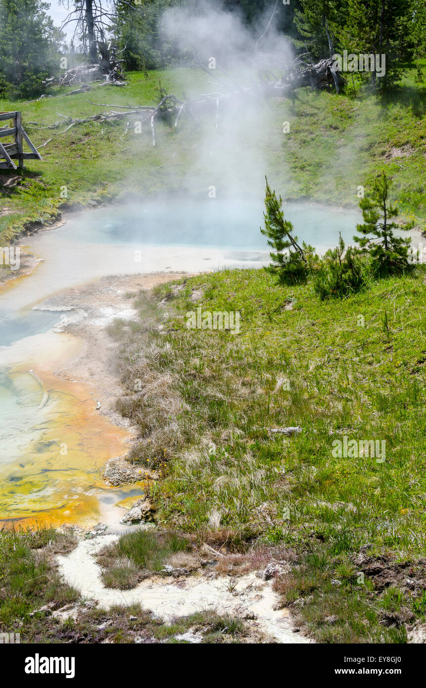 landscape and Geyser in Yellowstone National Park Stock Photo - Alamy