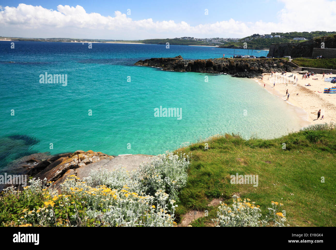 A sandy Cornish beach with turquoise blue water and yellow flowers in ...