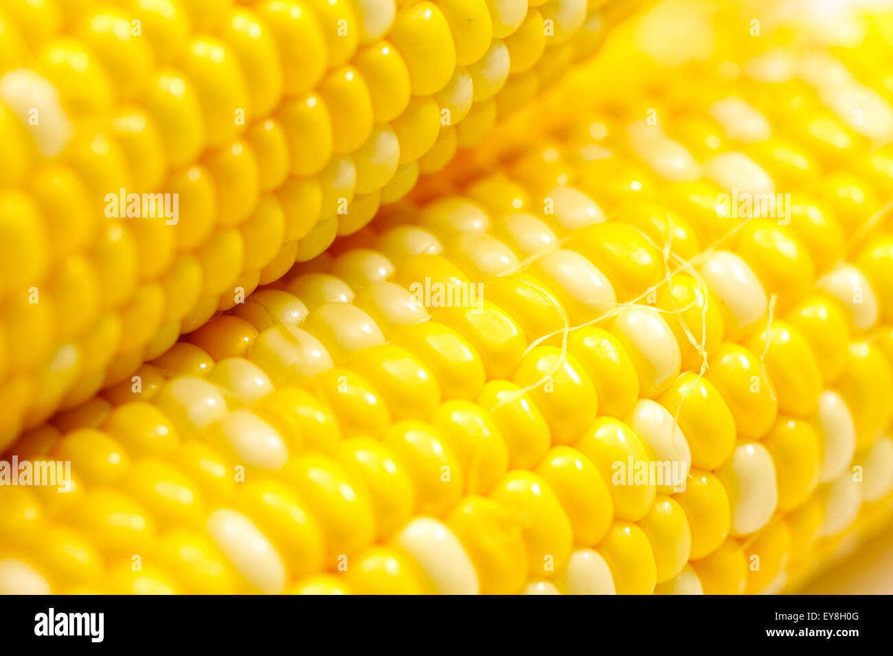 Wallpaper sweetcorn hi-res stock photography and images - Alamy