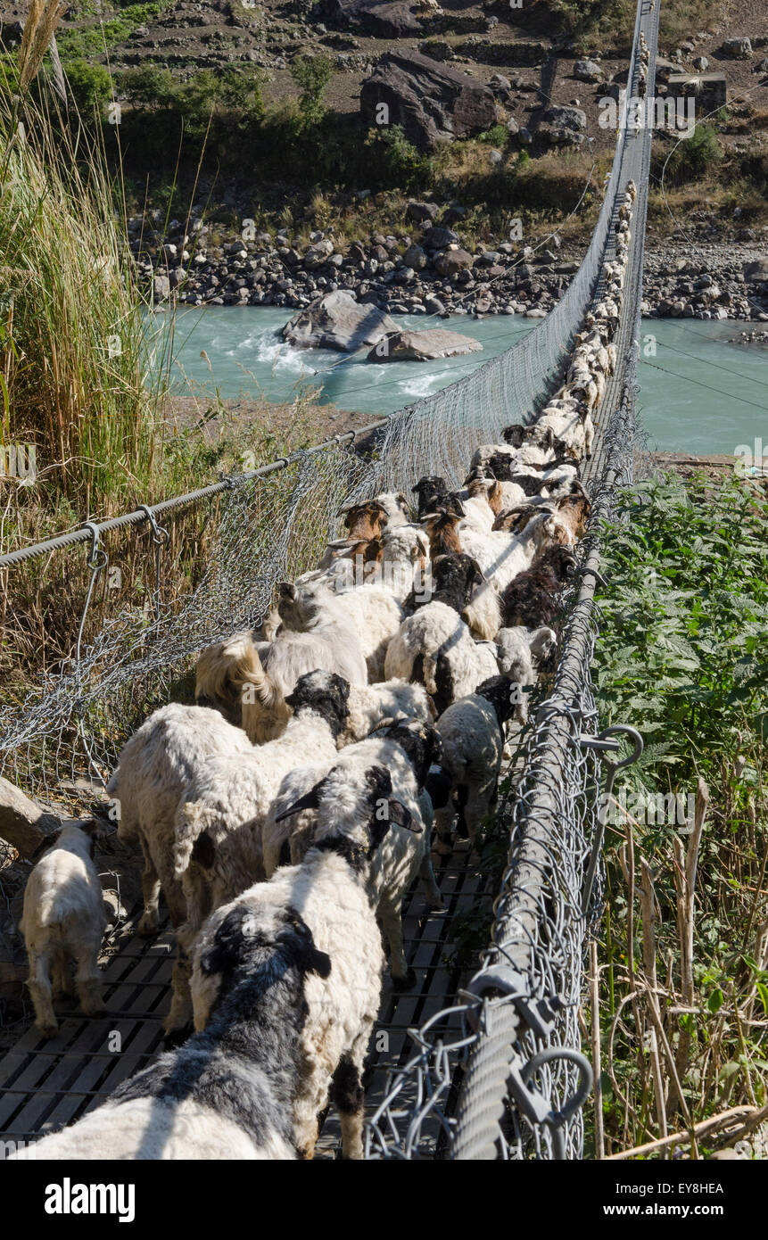 Steel rope footbridge river crossing in the Nepali foothills of the ...