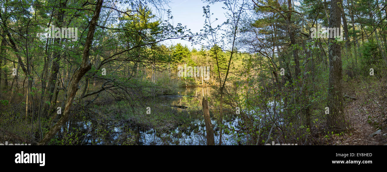 DSC06400NX5Na View of Long Pond Stock Photo - Alamy