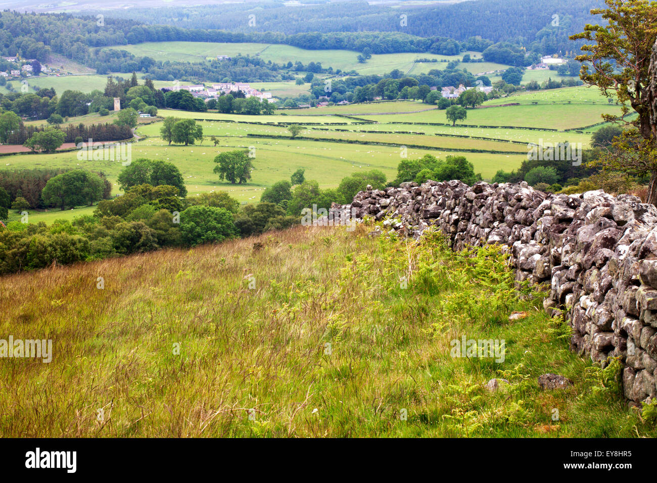 Whitton hi-res stock photography and images - Alamy