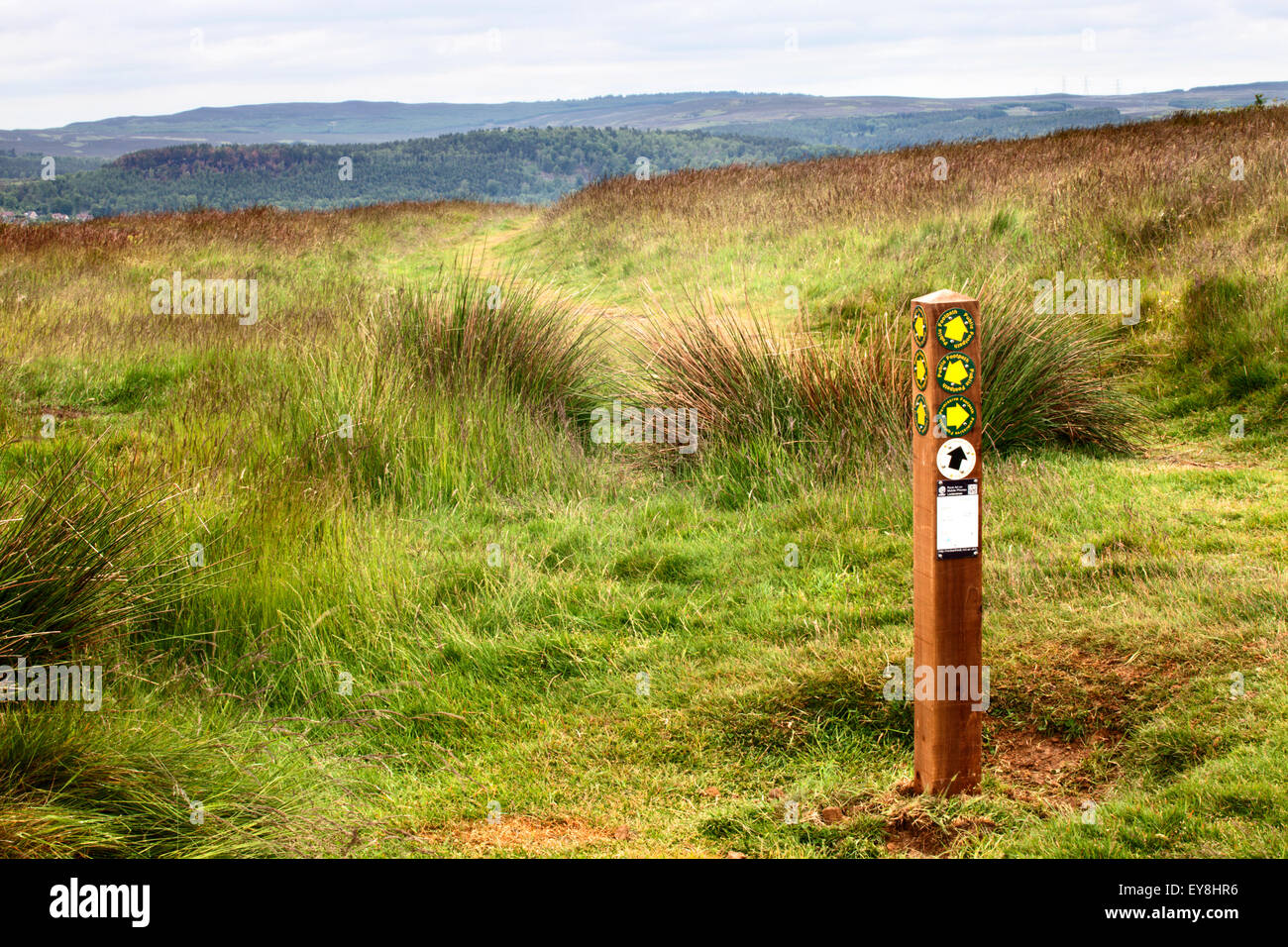 Footpath Junction Marker on the St Oswalds Way at Lordenshaws on ...
