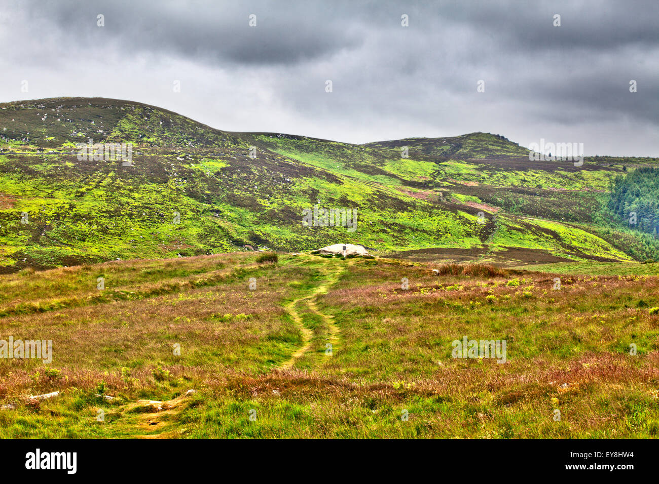 Path to a Cup and Ring Marked Rock near Lordenshaws Iron Age Hillfort ...