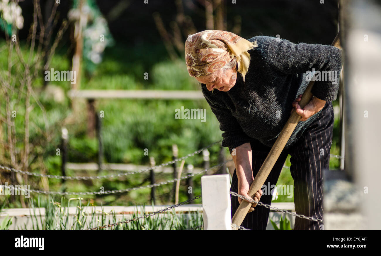 Graveyard in Romania Elderly woman tending to her garden in springtime ...