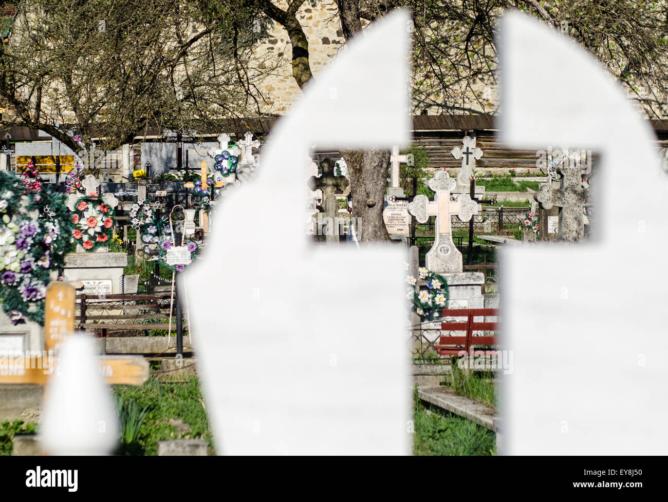 In a serene cemetery, a weathered cross marks the resting place ...