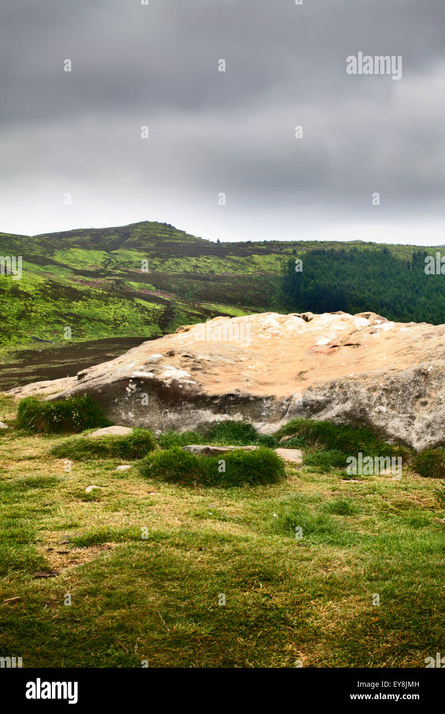 Cup and Ring Marked Rock on Garleigh Moor below The Beacon in the ...