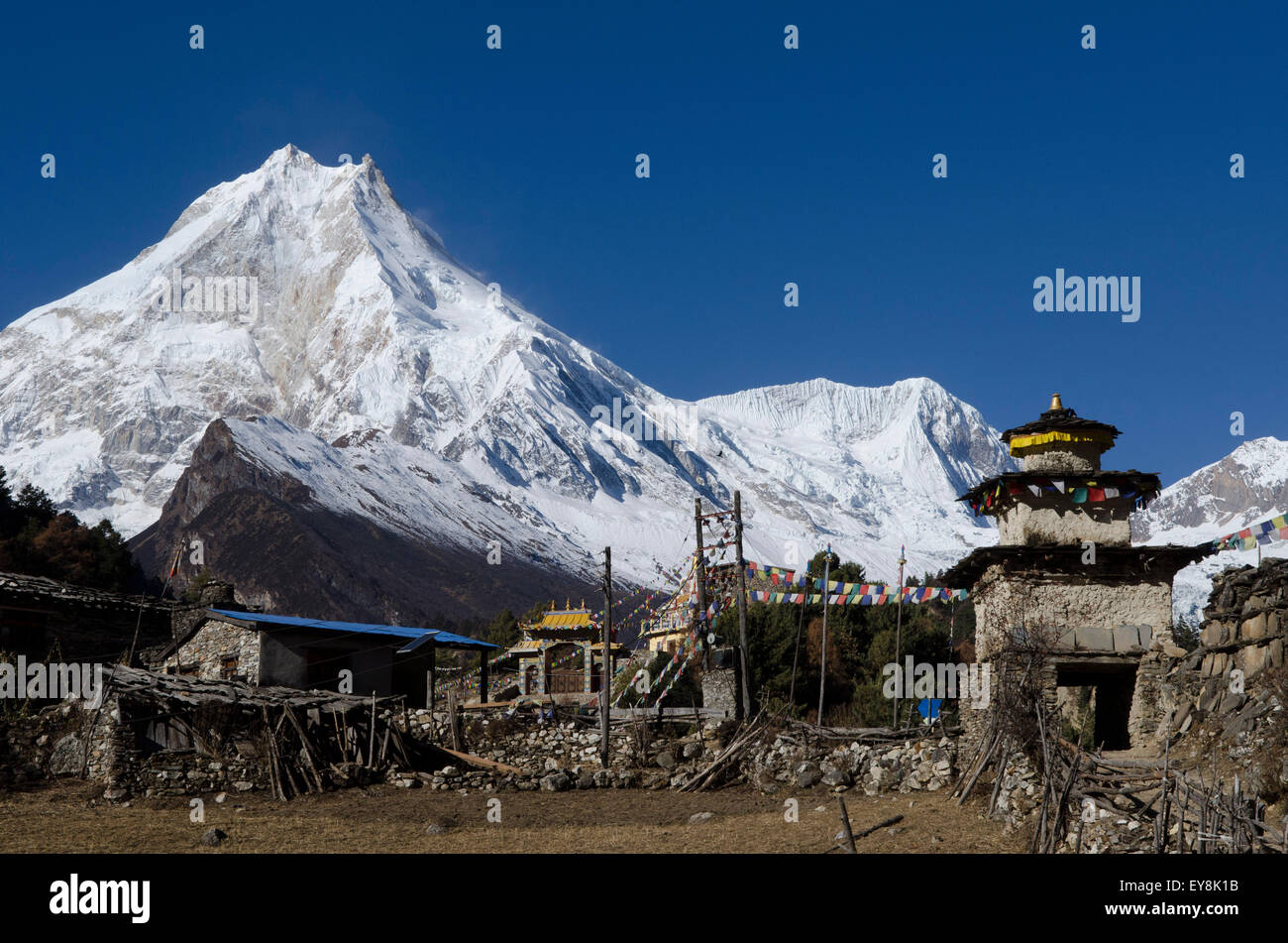 the view of Mt. Manaslu from the village of Lho in the Nubri valley of ...