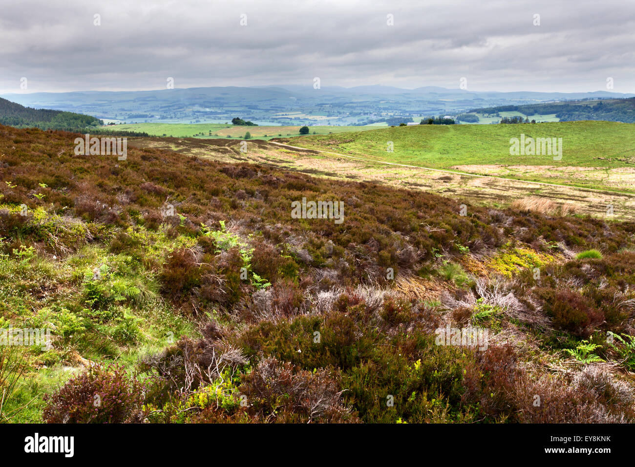 Coquetdale from the Simonside Hills near Rothbury Northumberland ...