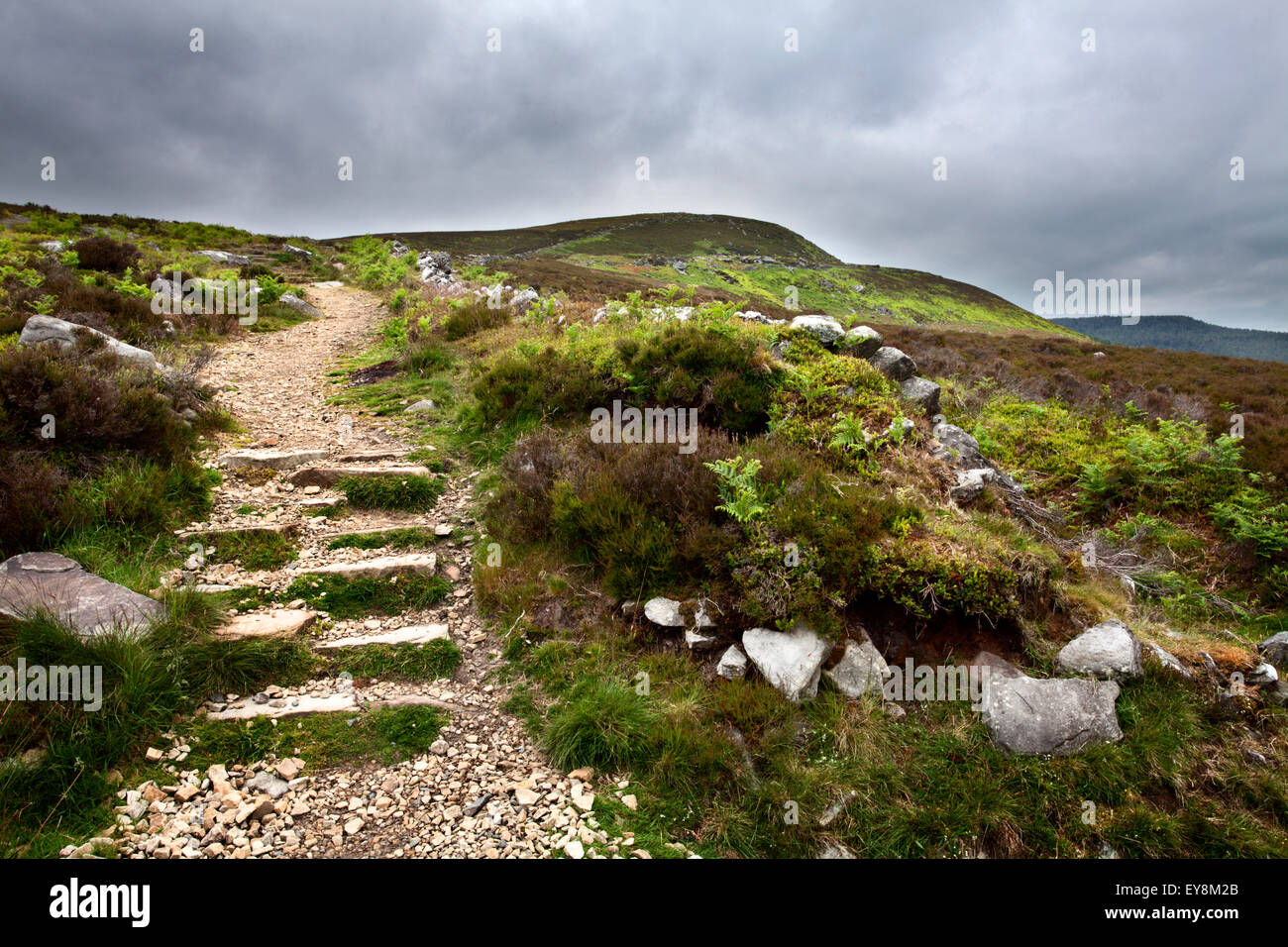 St Oswalds Way below The Beacon in the Simonside Hills near Rothbury ...