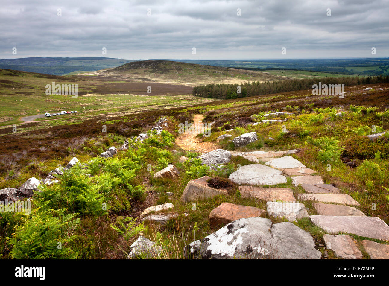 Path Descending The Beacon in the Simonside Hills looking toward ...