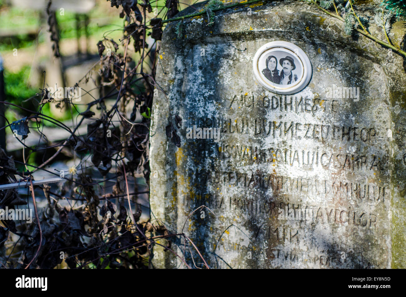 In a serene cemetery, a weathered cross marks the resting place ...