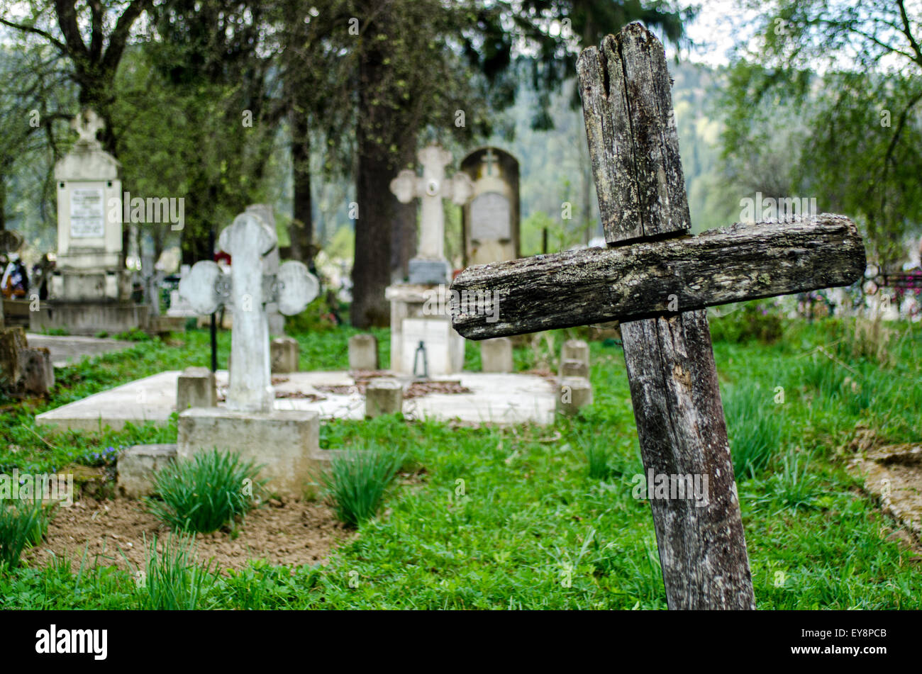 Old cemetery with weathered wooden cross and stone gravestones surrounded by lush greenery on a ...