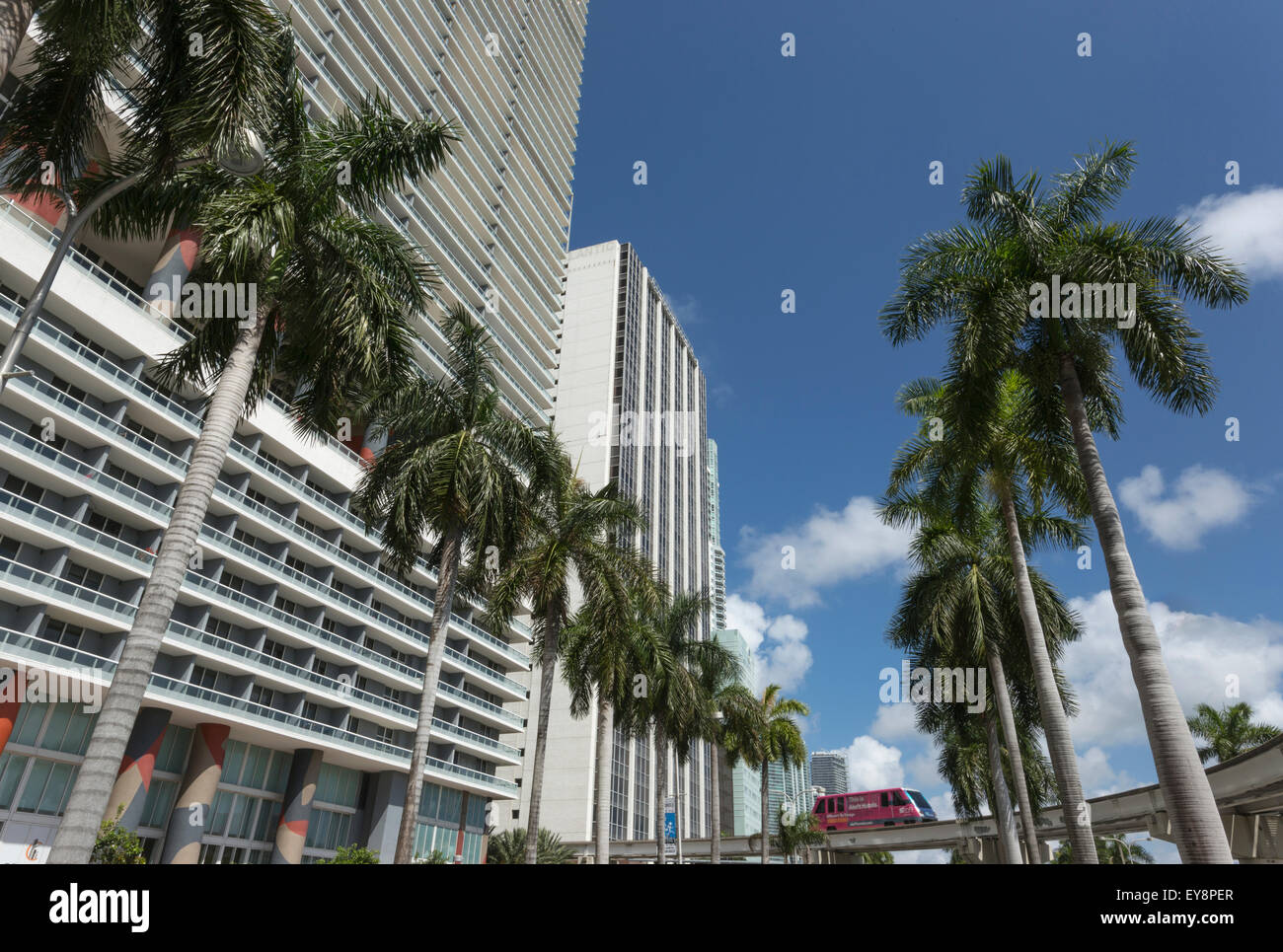 METROMOVER MONORAIL DOWNTOWN MIAMI FLORIDA USA Stock Photo - Alamy