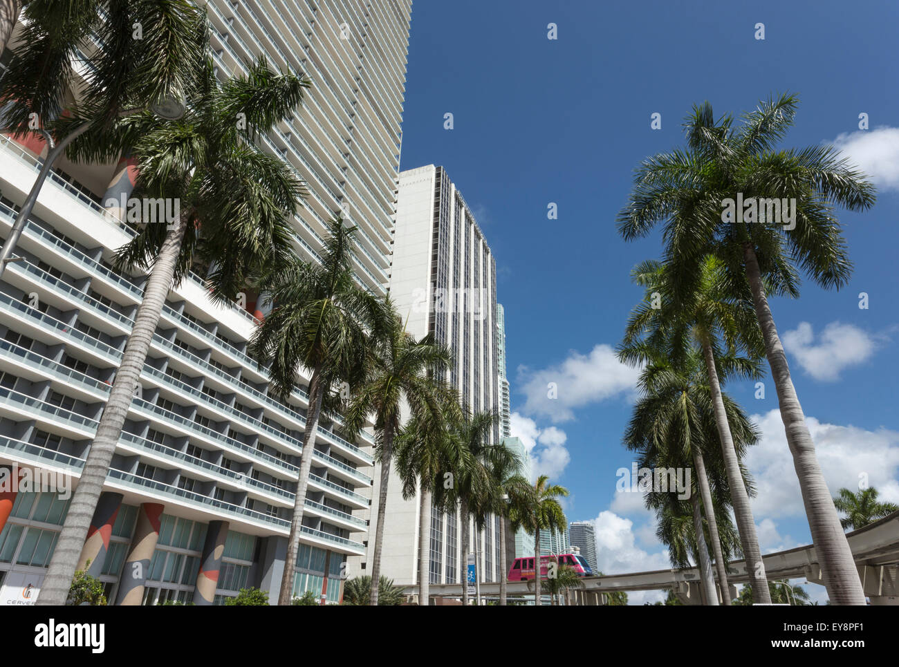 METROMOVER MONORAIL DOWNTOWN MIAMI FLORIDA USA Stock Photo - Alamy