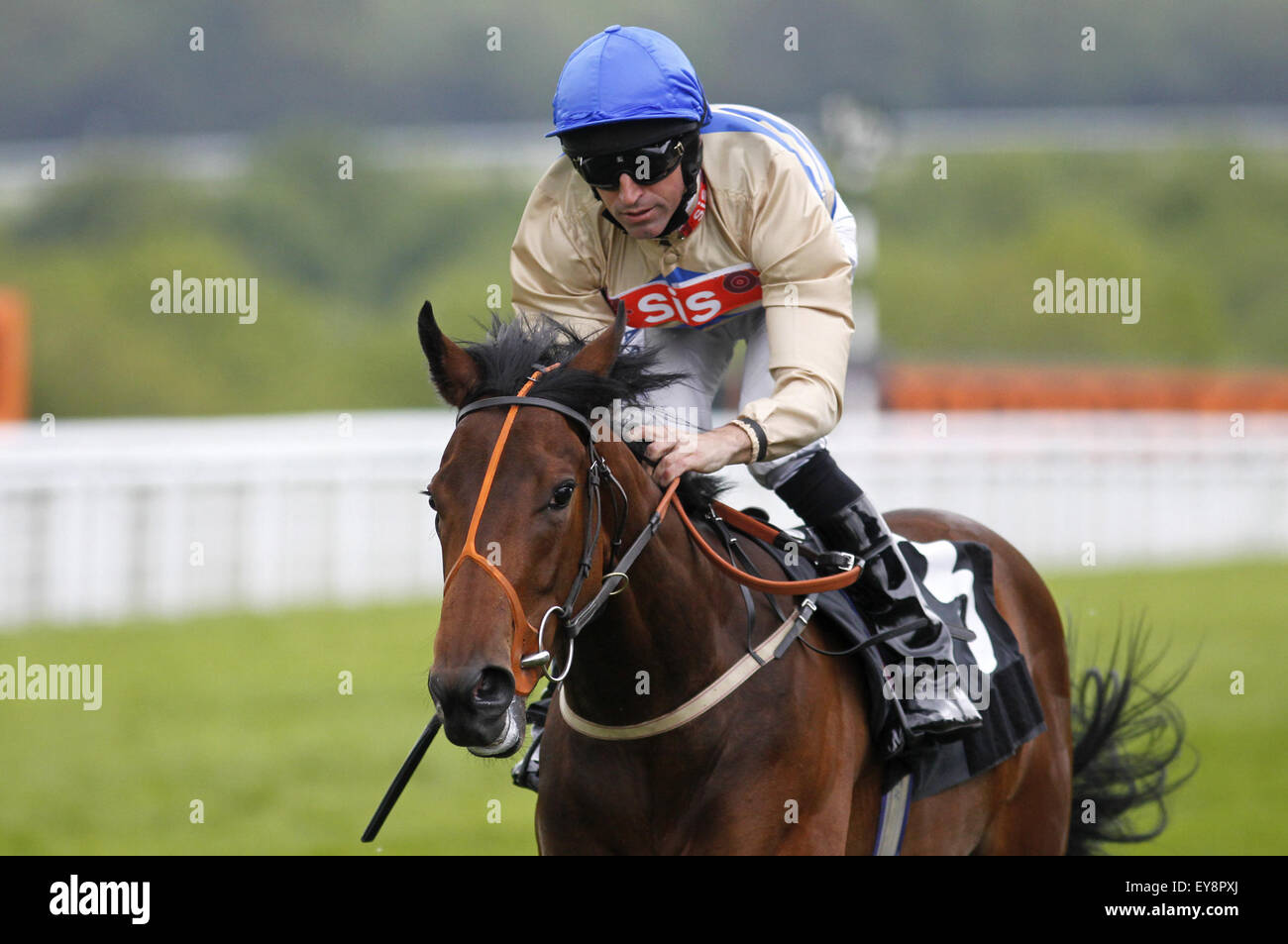 Pat Dobbs riding Bournemouth Belle, winning the ebfstallions.com Maiden ...