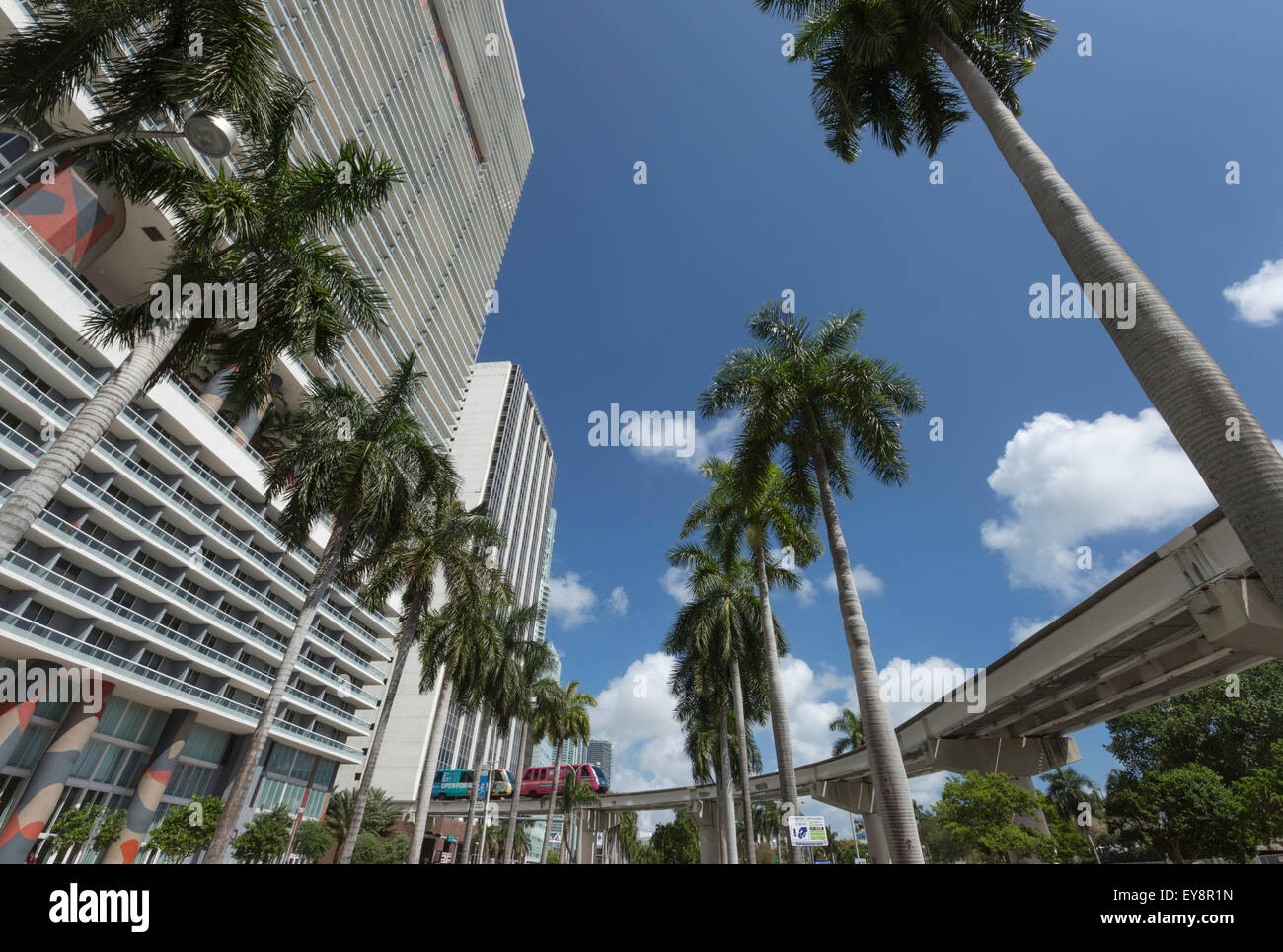 METROMOVER MONORAIL DOWNTOWN MIAMI FLORIDA USA Stock Photo - Alamy