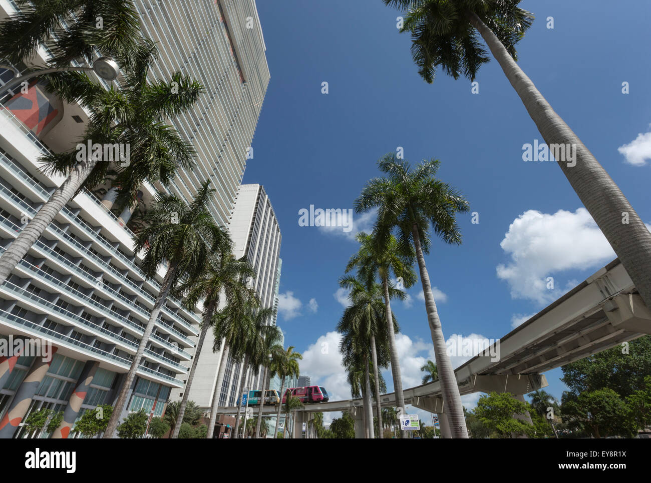 METROMOVER MONORAIL DOWNTOWN MIAMI FLORIDA USA Stock Photo - Alamy