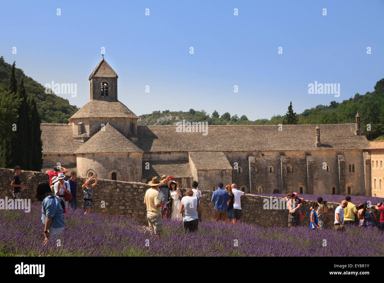 Tourists at the Notre-Dame de Sénanque Abbey Provence France with ...