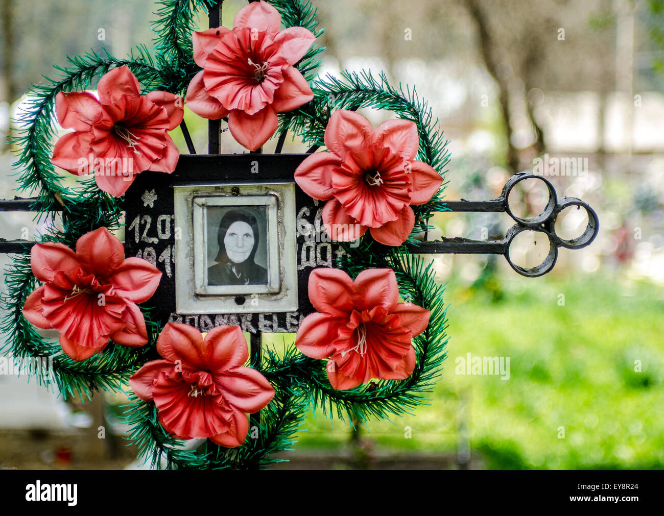 In a serene cemetery, a weathered cross marks the resting place ...