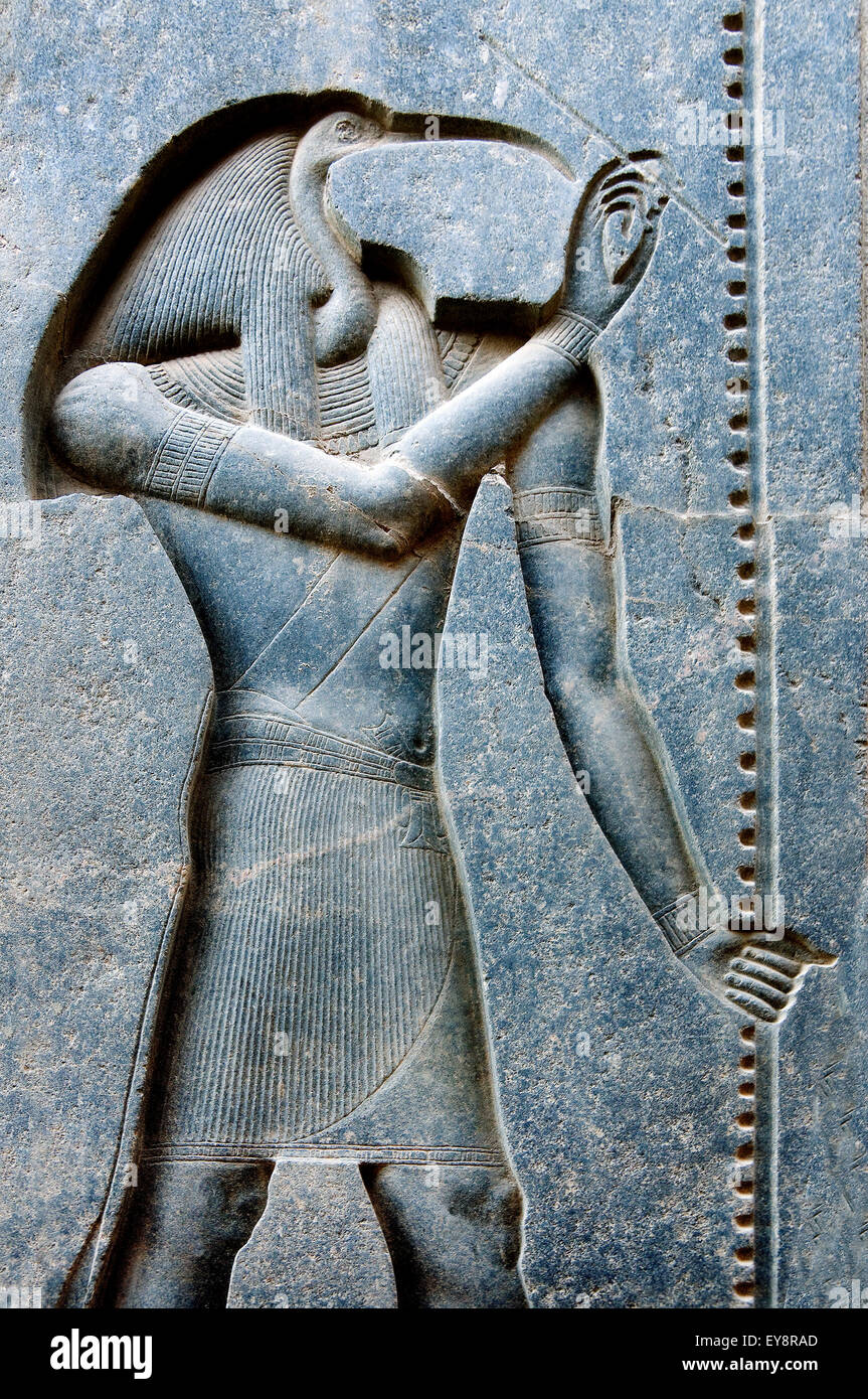 Luxor, Egypt. Temple of Luxor (Ipet resyt): the god Toth carved on a ...