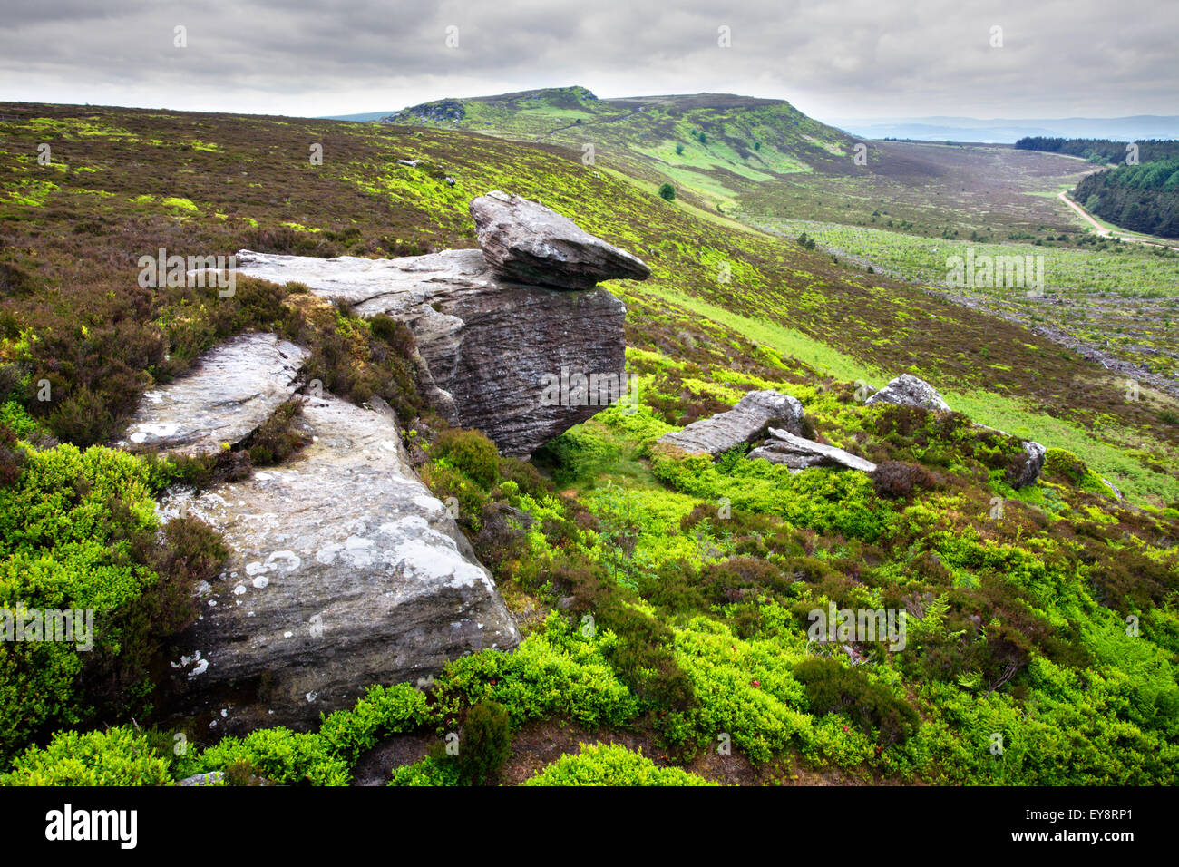 Simonside from Dove Crag in the Simonside Hills near Rothbury ...