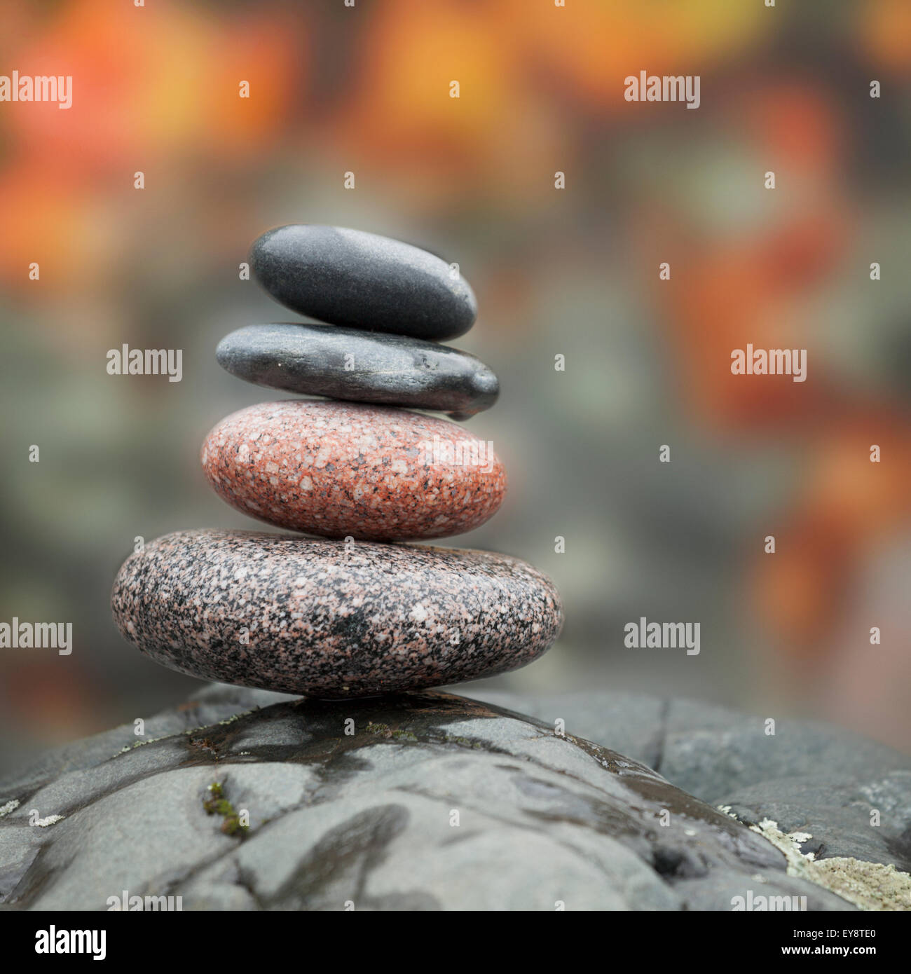 Smooth stones beach canada hi-res stock photography and images - Alamy
