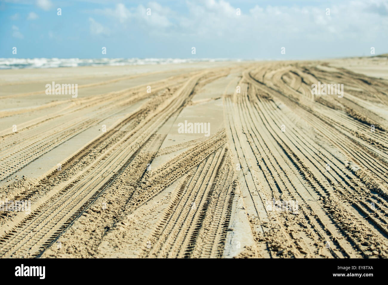 Tire tracks in the sand on Casino Beach, the longest beach in the world ...